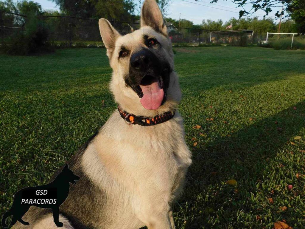 About Us - GSD Paracords